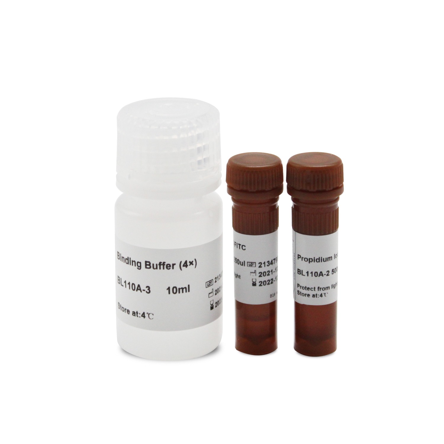 兰杰柯在线商城