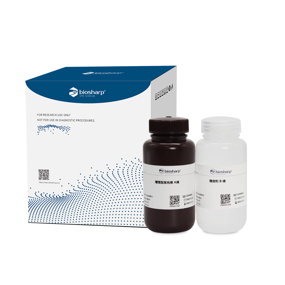 兰杰柯在线商城