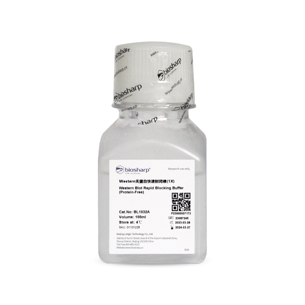 兰杰柯在线商城