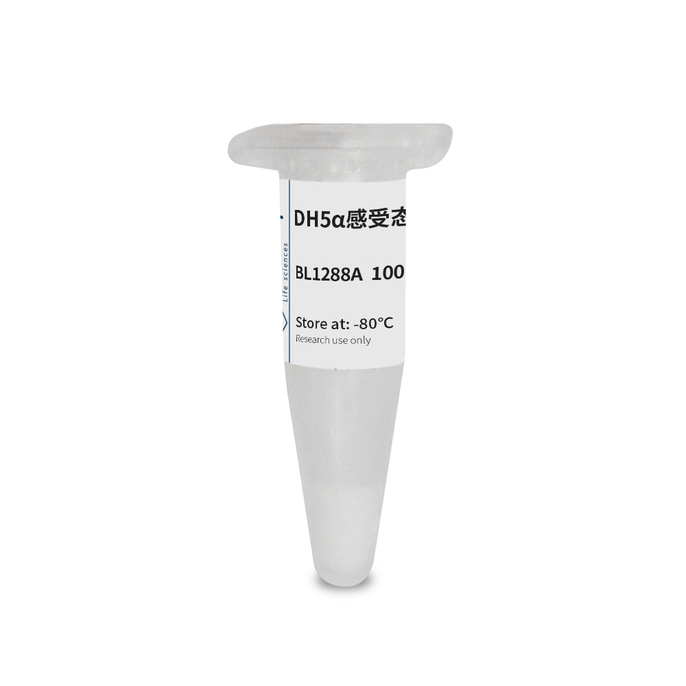 兰杰柯在线商城