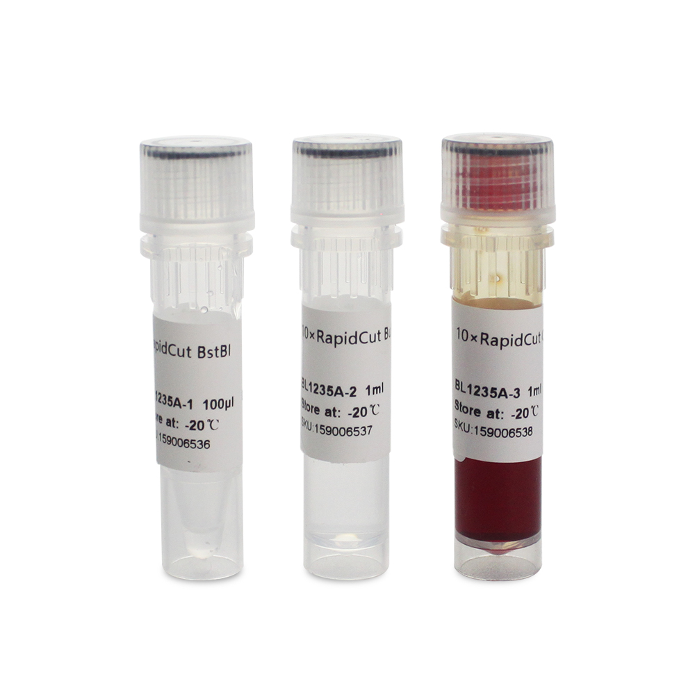 兰杰柯在线商城