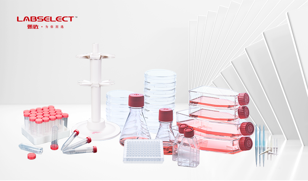 兰杰柯在线商城